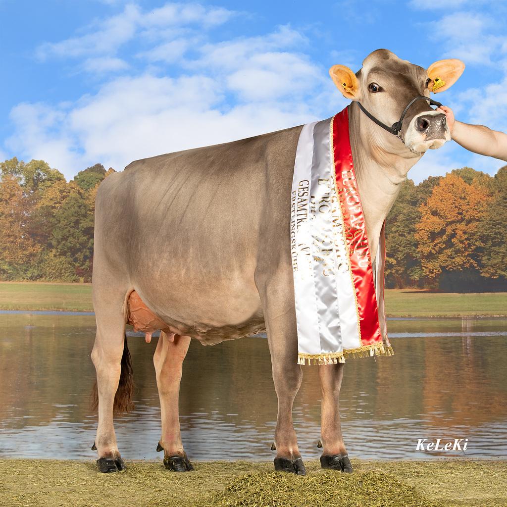 Confrontation européenne à Imst - Swissgenetics
